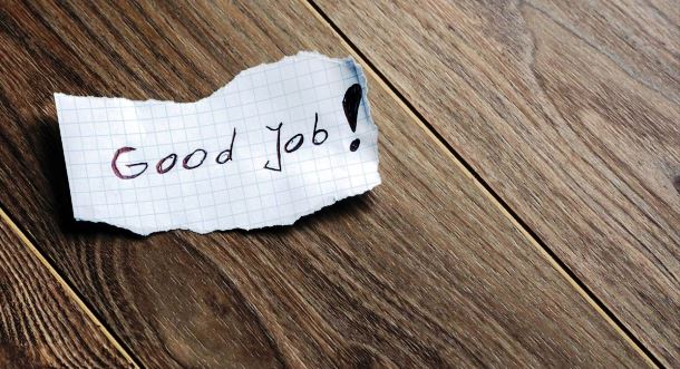 New MSA booklet - Competency Demonstration Reports Writing